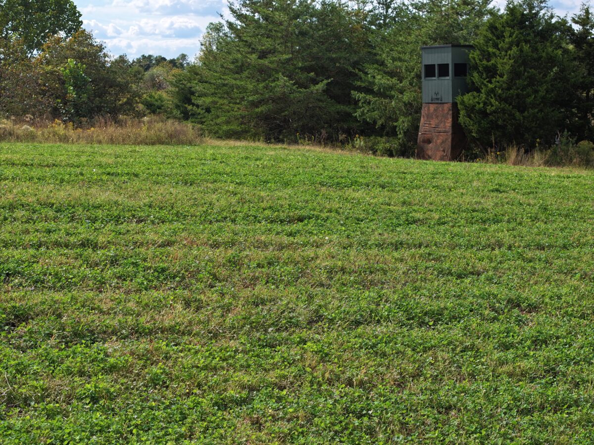 Project Portfolio: Clover Food Plot Planting & Maintenance